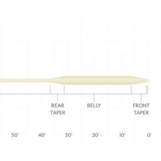 Frequency Boost Fly Line | Scientific Anglers